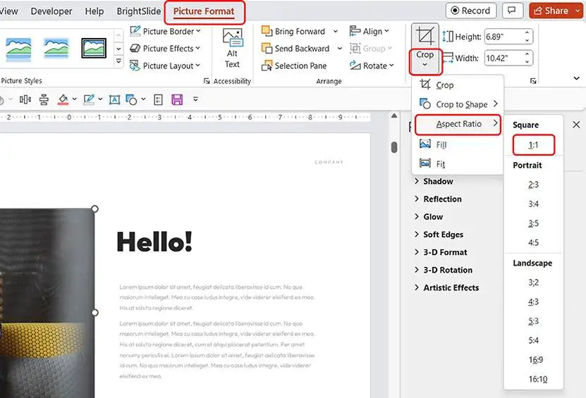 How to Crop a Picture into a Circle in PowerPoint - MSLIDES